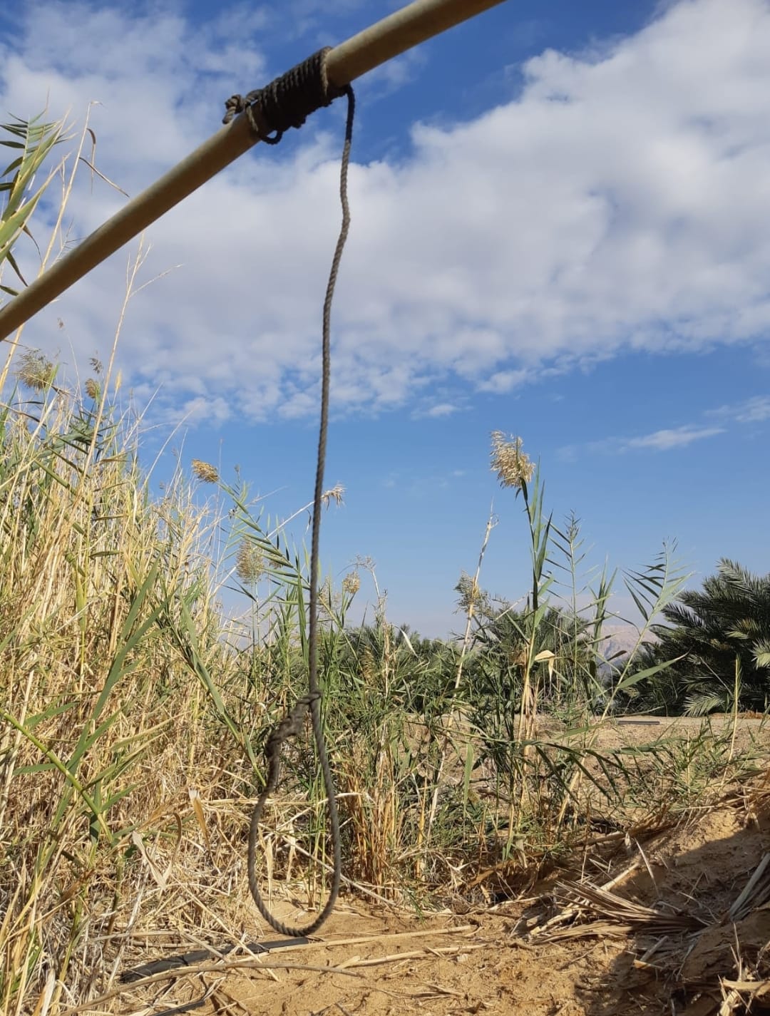 Trap snares searching operation in Israel - European Ranger Federation