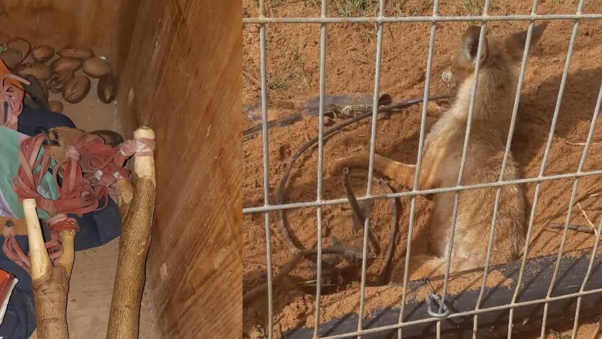 Anti poaching webinars start on World Ranger Day - European Ranger ...