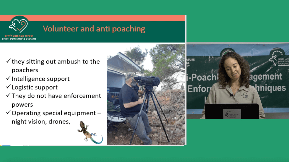 Join us for part two of our series on anti-poaching and volunteer ...
