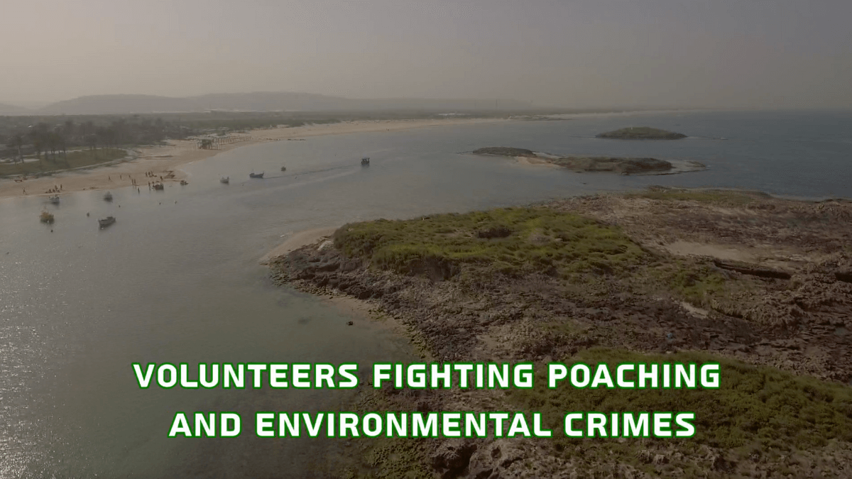 Watch part two of our anti-poaching webinar series - European Ranger ...