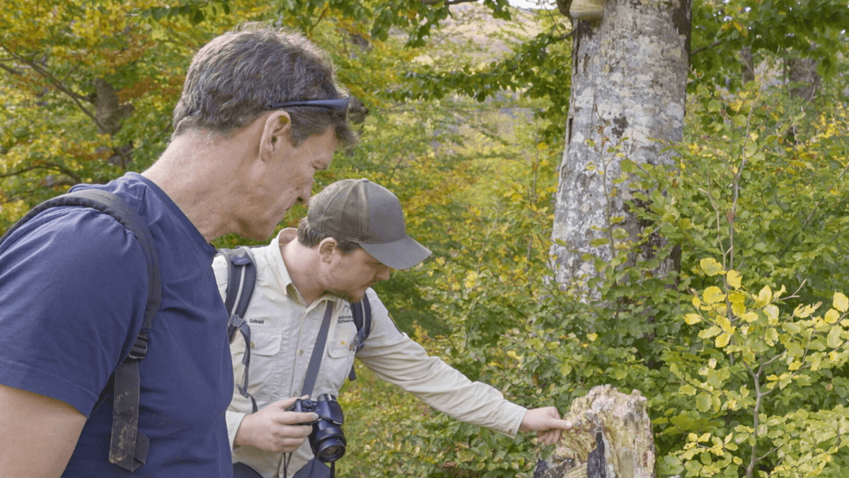 Force For Nature: elevating the status of rangers - European Ranger ...