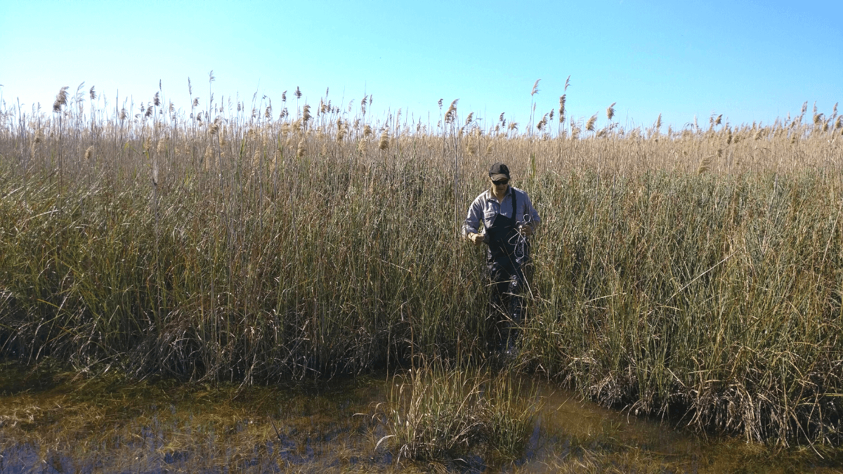 Croatian rangers: environmental education is crucial to encounter mass ...