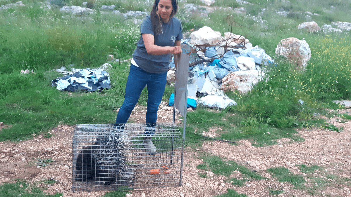 “We need to understand all human cultures in Israel to protect nature ...