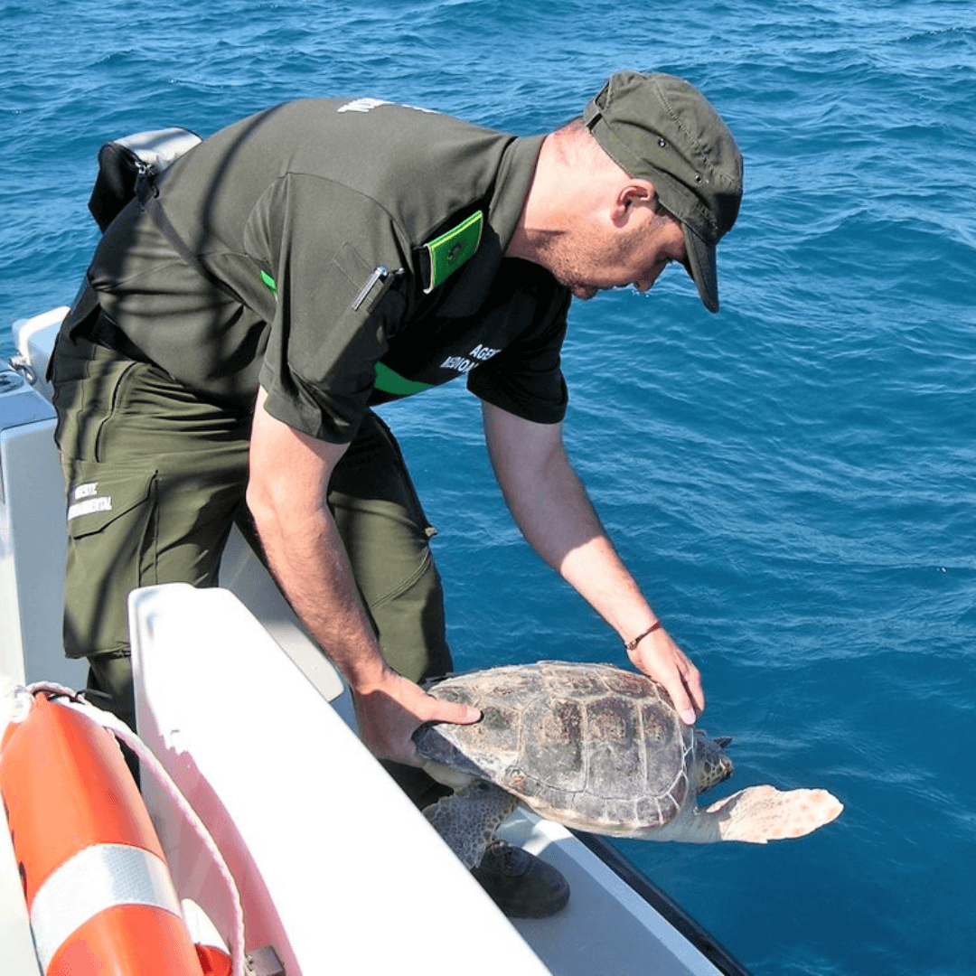 Spanish rangers: Caring for a highly diverse nature - European Ranger ...