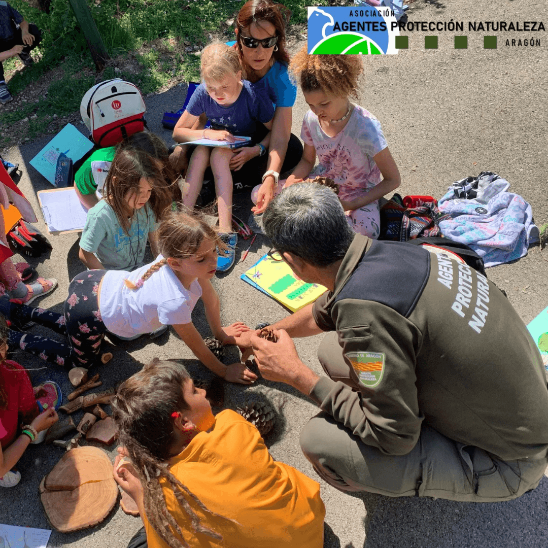 Spanish rangers: Caring for a highly diverse nature - European Ranger ...