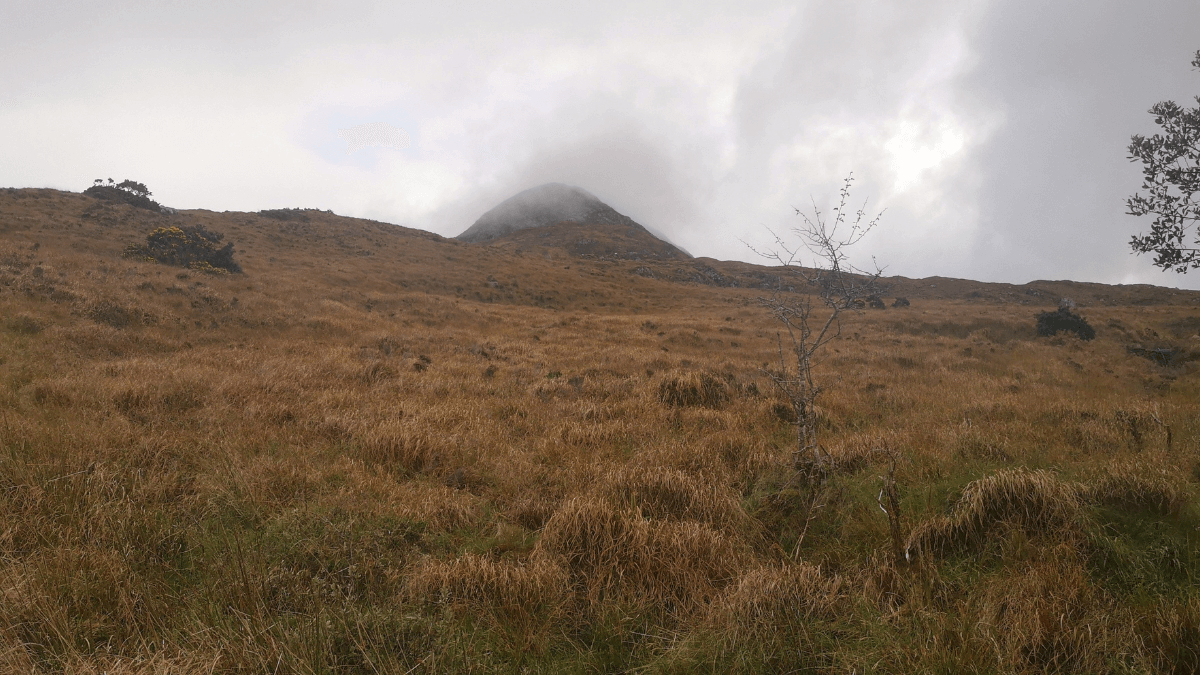 Practised ranger exchange: Swiss ranger visits Irish ranger - European ...