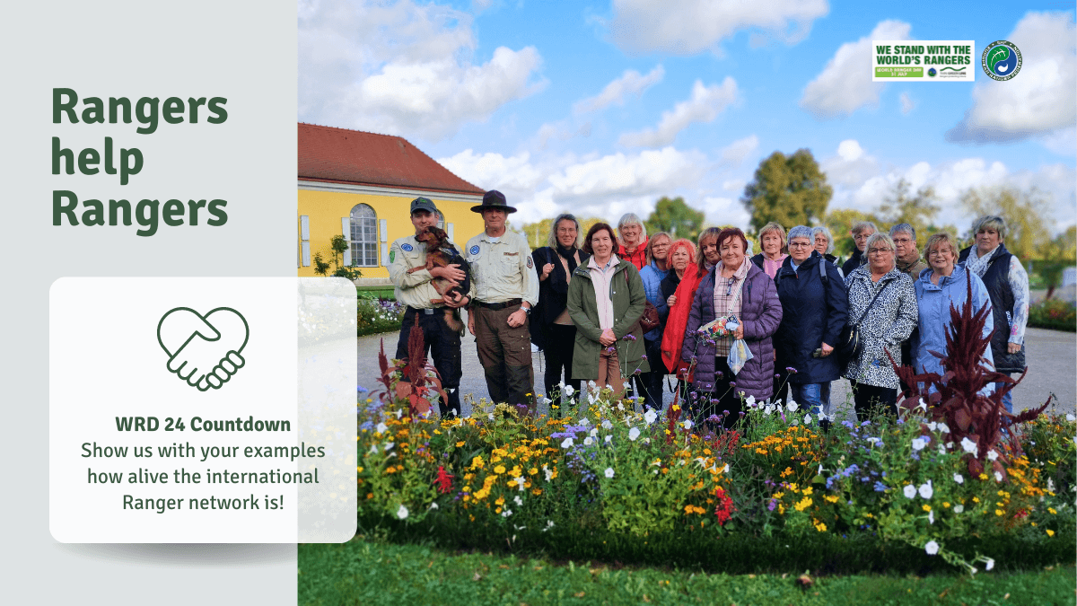 Ideas, family spirit and network: Ranger helps colleagues in numerous ...