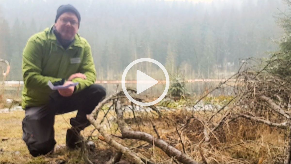 Volunteer ranger in Germany – sensitising for subtle creatures ...