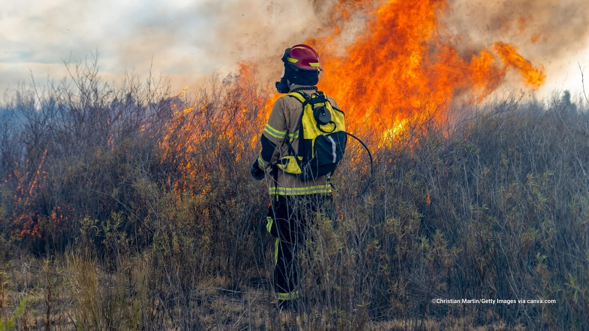Solidarity Letter to our members fighting forest fires - European ...